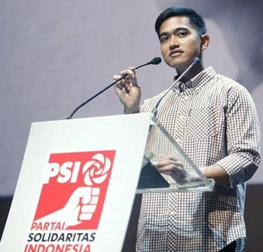 Power, Status, Succession, and Political Dynasties in Indonesia ...